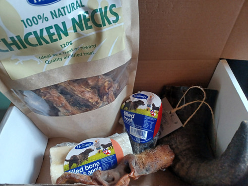 Chew box (Single Purchase) | My Site