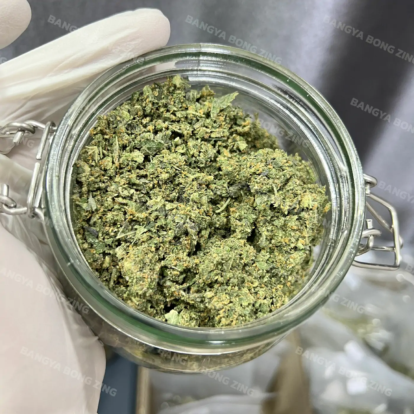 ใบทริม Lemon Cherry Runtz [Hybrid] | BANGYA BONG ZING