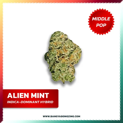 Alien Mint [Middle-POP] Premium | BANGYA BONG ZING