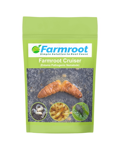 FARMROOT CRUISER- Entomopathogenic Nematode | Farmrootagritech