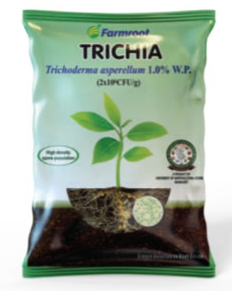 TRICHIA(Trichoderma asperellum – 1.0 % WP) | Farmrootagritech