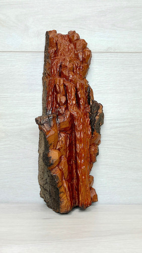 Cottonwood Bark Carvings | Chiseled Outdoors