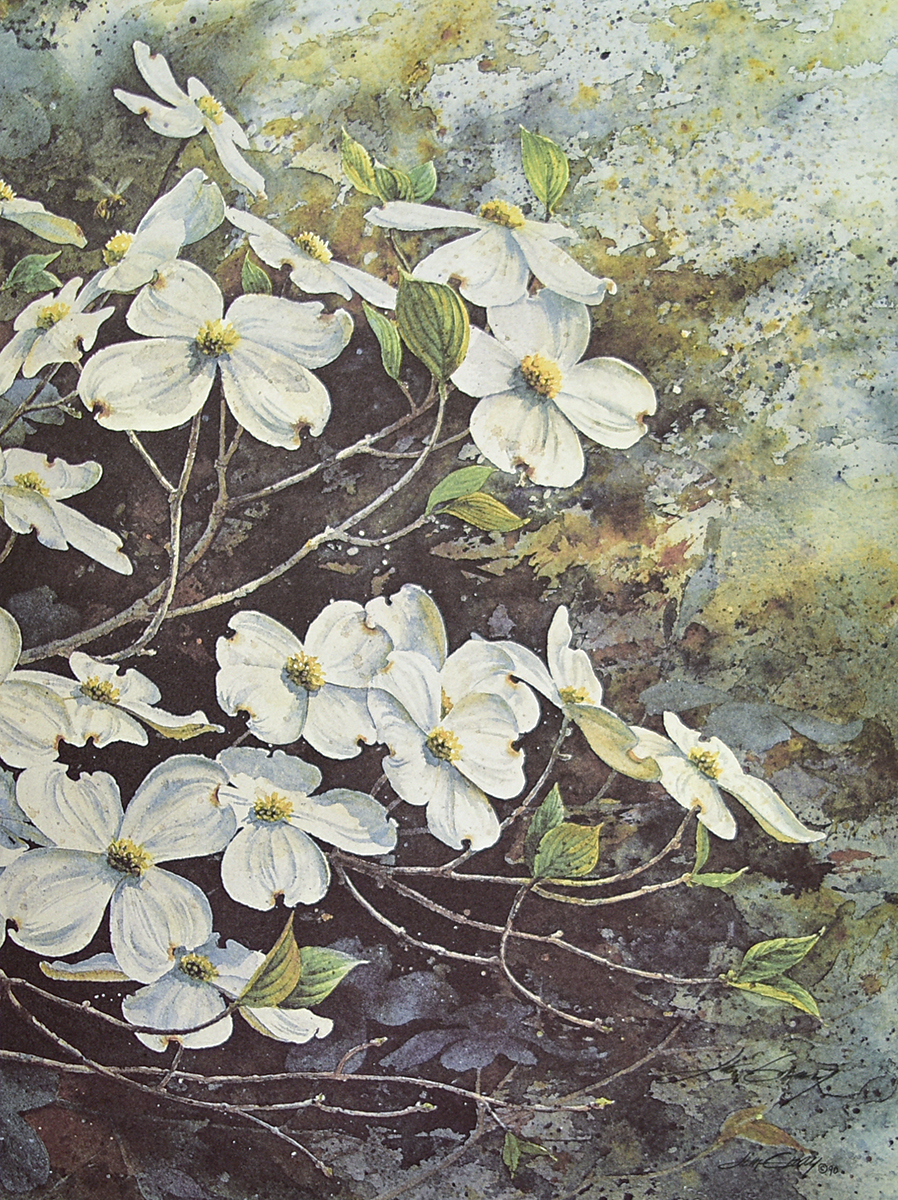 FAQS The Jim Gray Gallery | American Artist Jim Gray | Gatlinburg TN