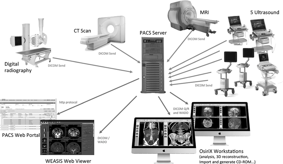 PACS (Picture Archiving and Communication System)