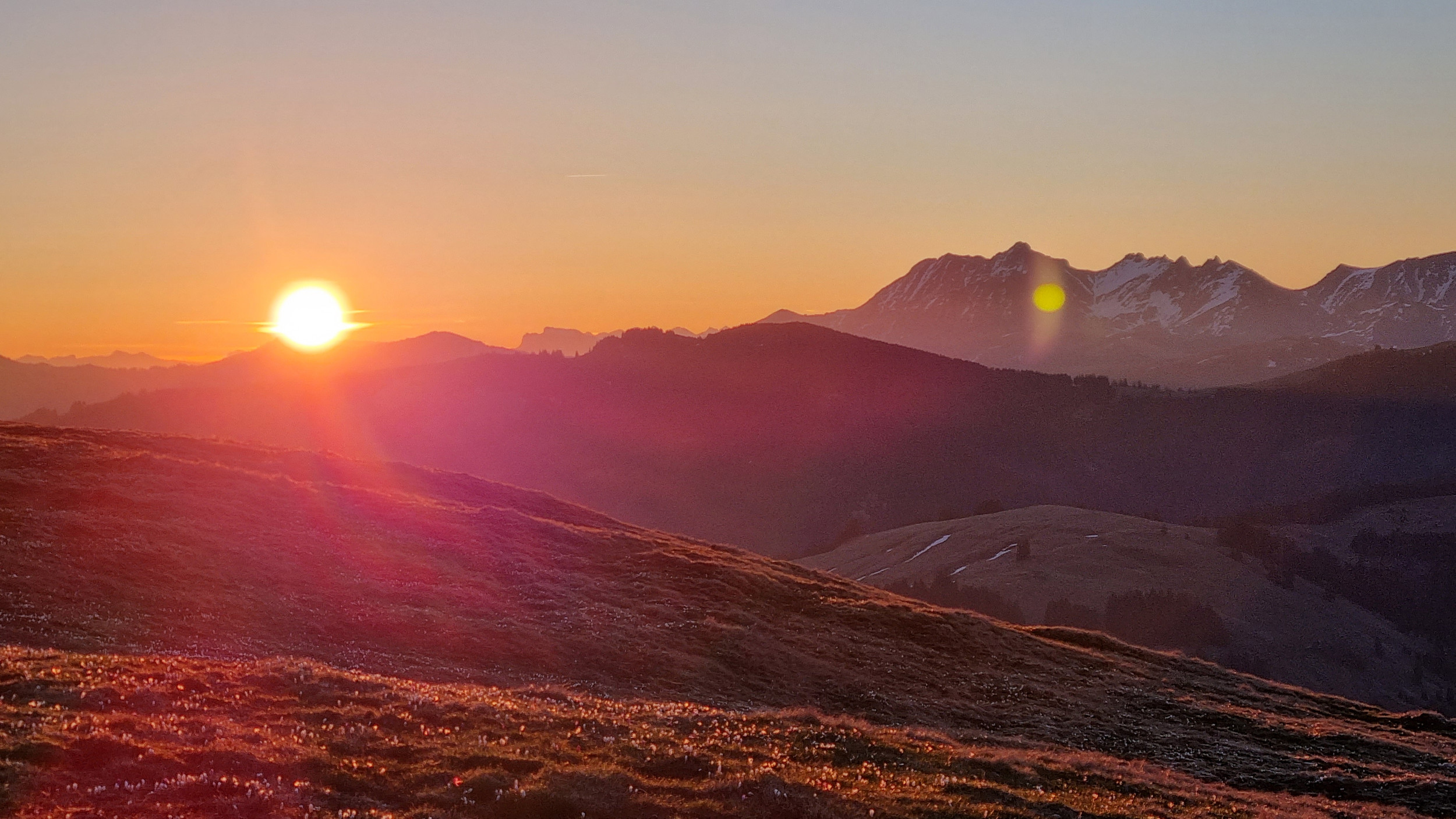 GALERIE | Grand Angle