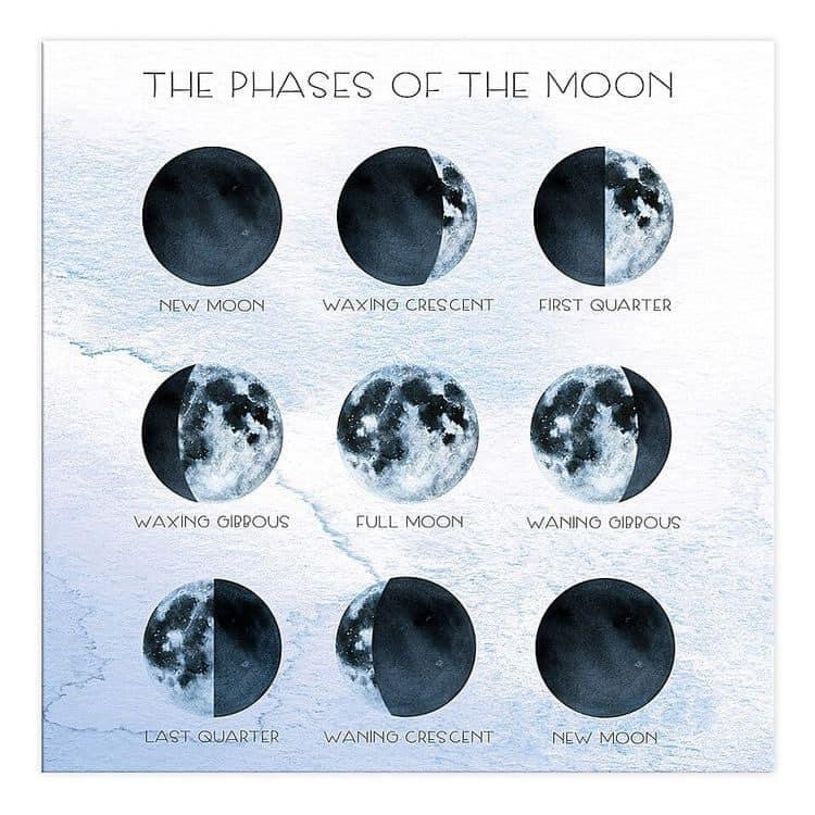 Moon PHASES