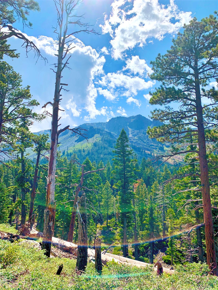 Mount Tallac, South Lake Tahoe California. Must do hike in Tahoe!