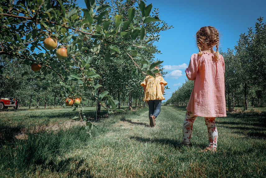 Apple Orchard | Pumpkin Patch | Goebbert's Farm Pingree Grove