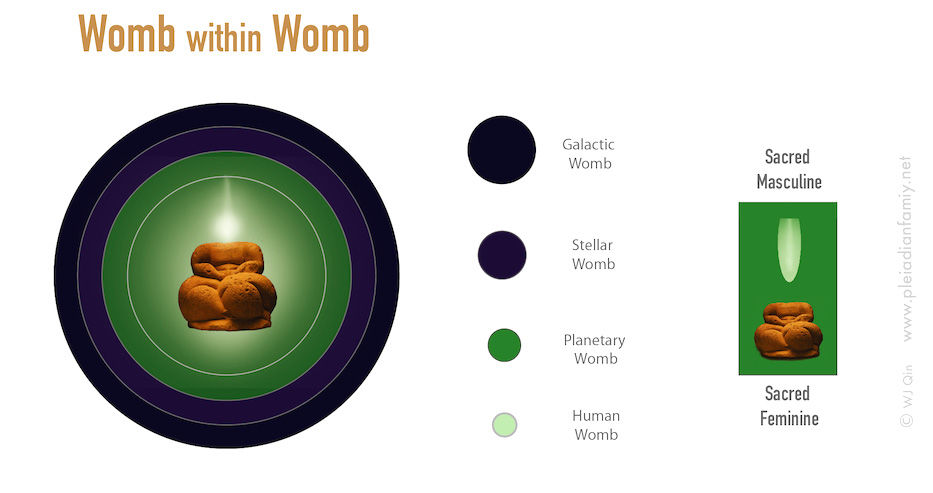 Womb Consciousness explained by the Pleiadians