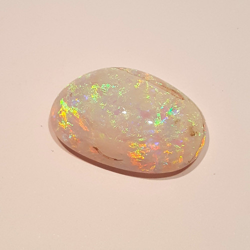 Opalised Fossil Bivalve | Majestic Opals