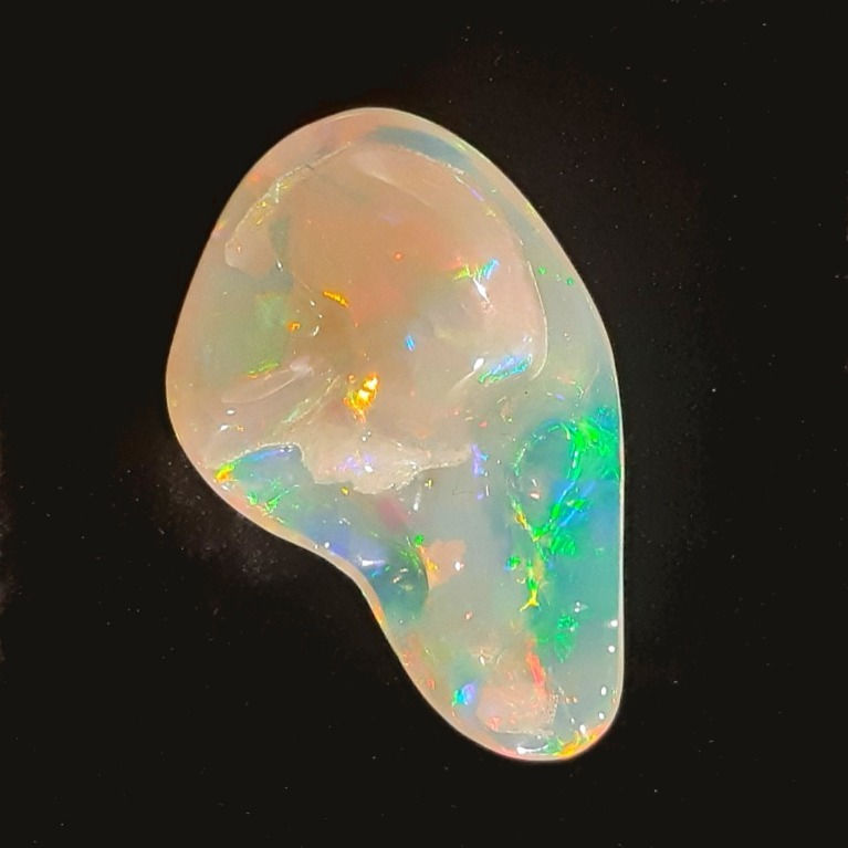 Opalised Fossils | Majestic Opals