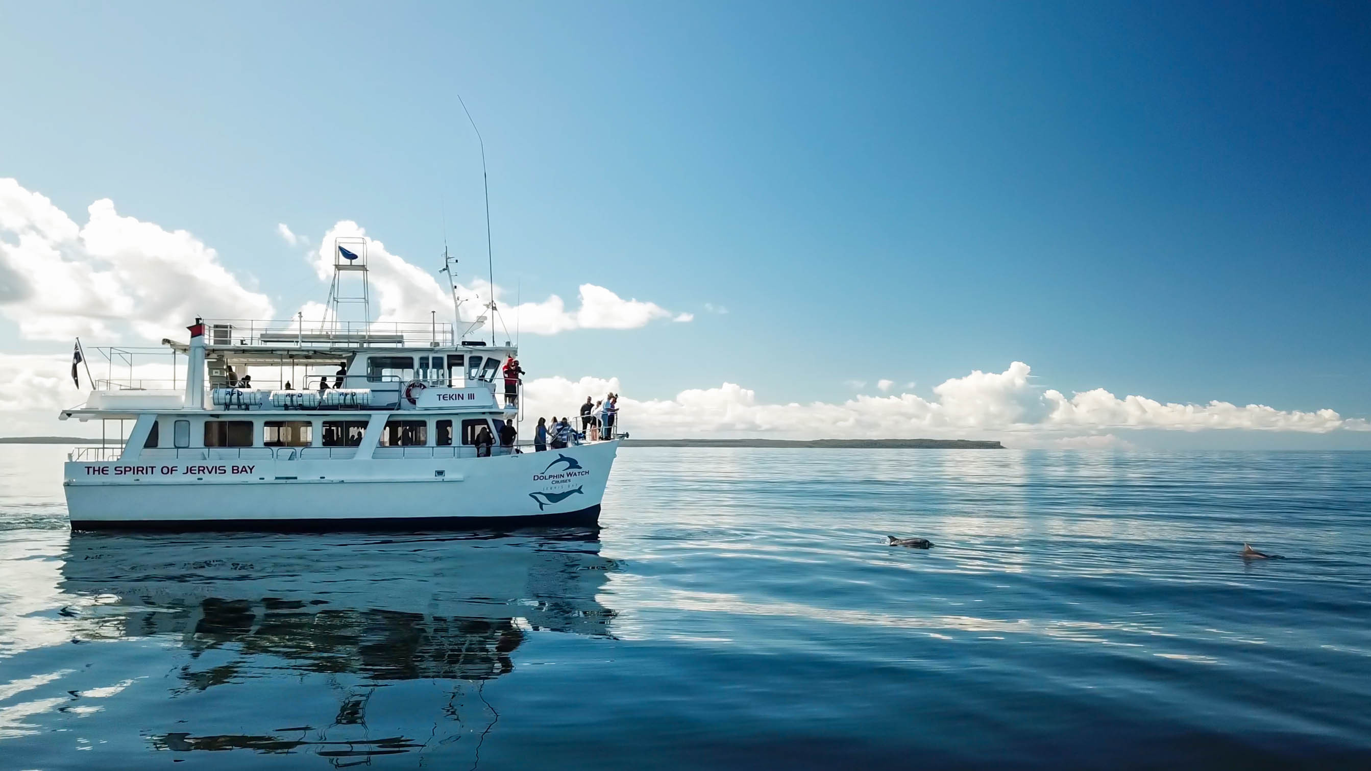 Dolphin Watch Cruises