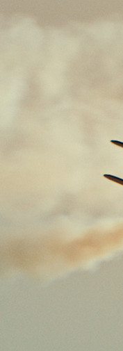 Rad Aerosports | Jet Waco