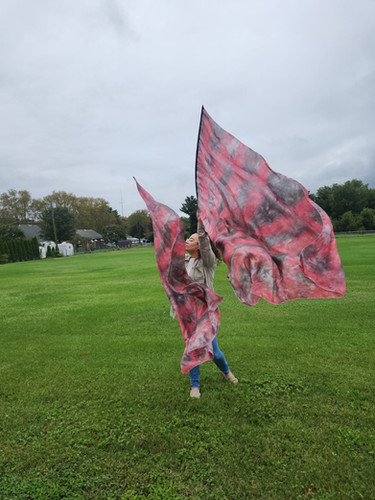 Prophetic Flags Custom~Please add if you want specific colors or Holy ...