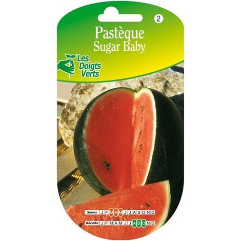 PASTEQUE SUGAR BABY | Sarlat Montignac