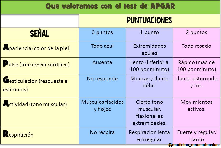 Periodos perinatal y neonatal del bebé