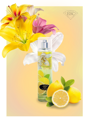 SUMMER BREEZE | EBC COLLECTION