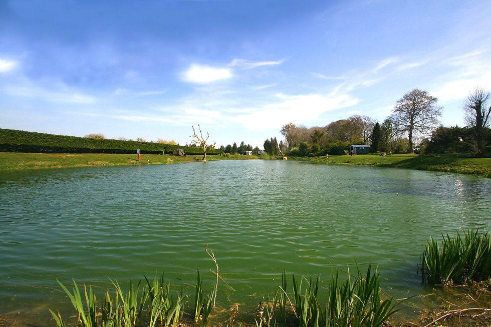Fishing Lakes | Fendick's Fishery | fishing holiday Norfolk