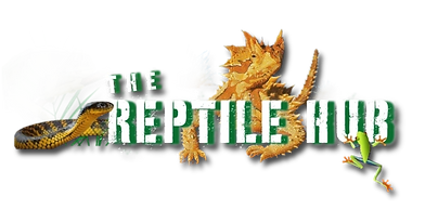 Aboriginal Animal Artwork & Books | The Snake Bite Program