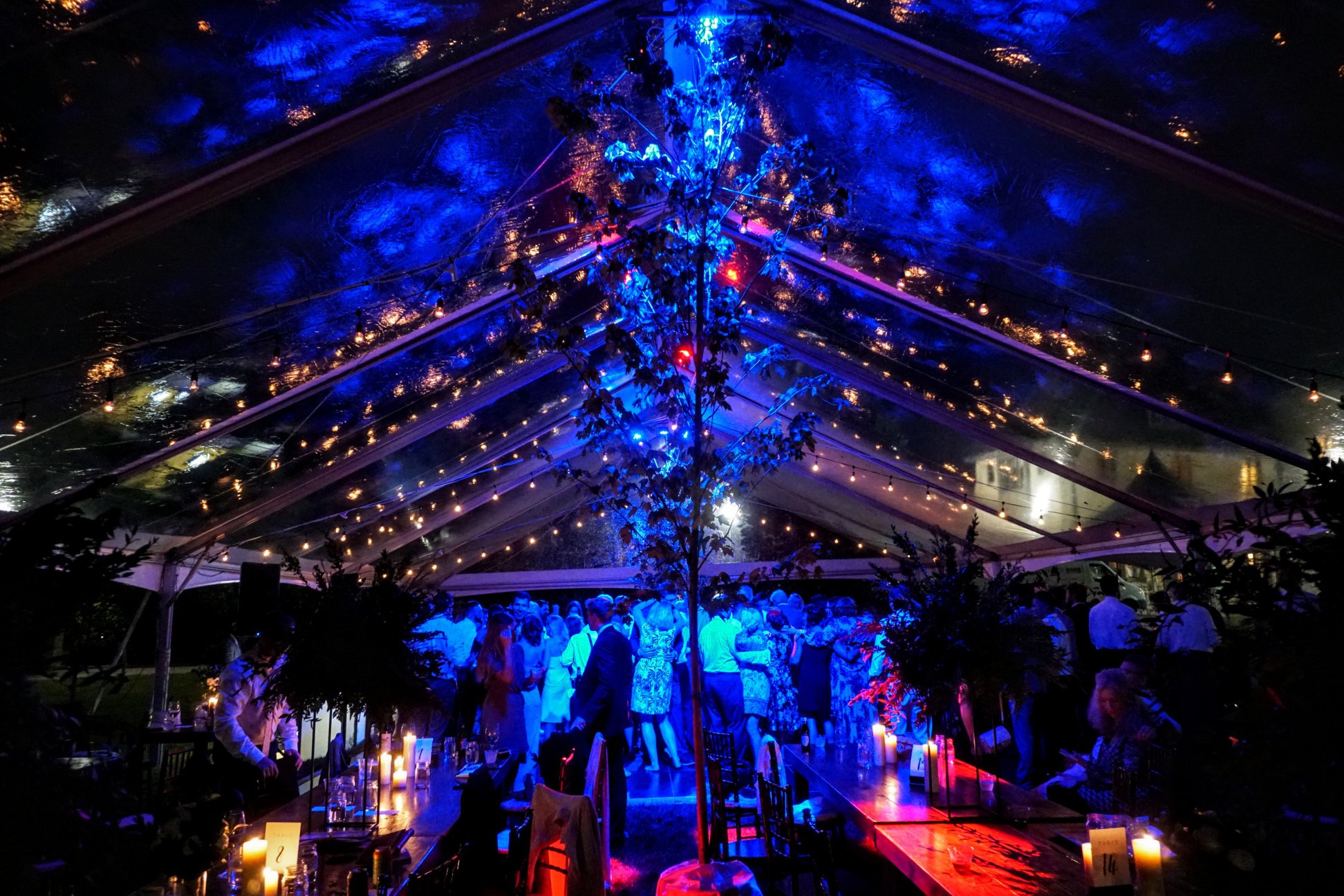 Reviews | palace-events