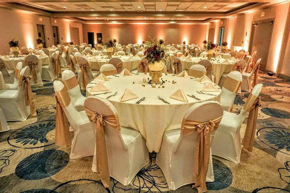 Event and Wedding Rental Business located in Central Illinois