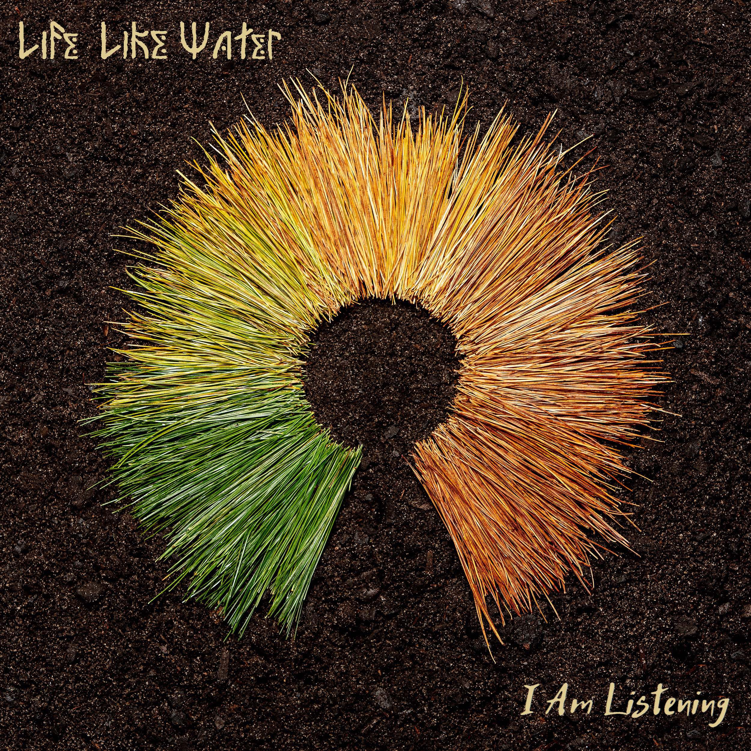 Life Like Water | Folk Band | Asheville, NC