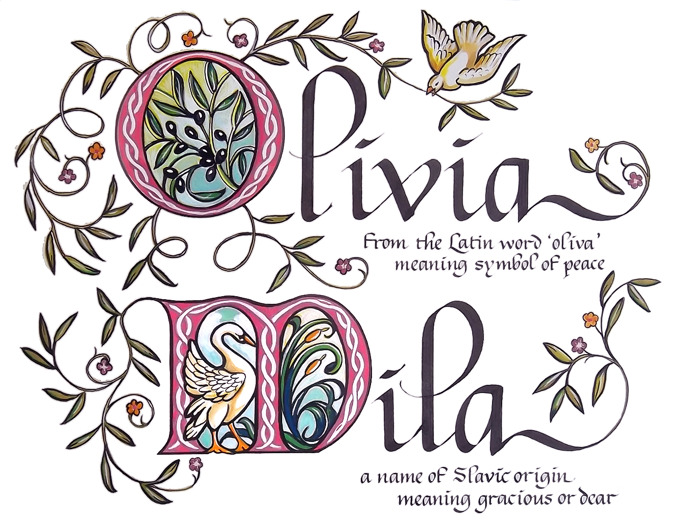 Mary Teichman Custom Calligraphy & Illustration