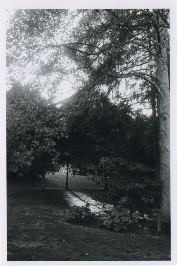 Ephemera | Gene Stroman