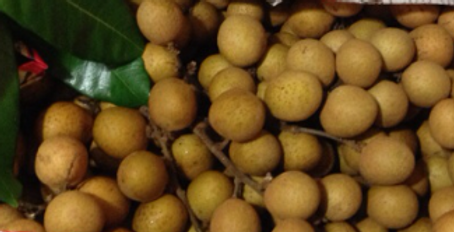 Longan Facts | 1866longans