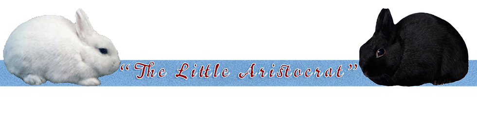 History | HOME | APRC