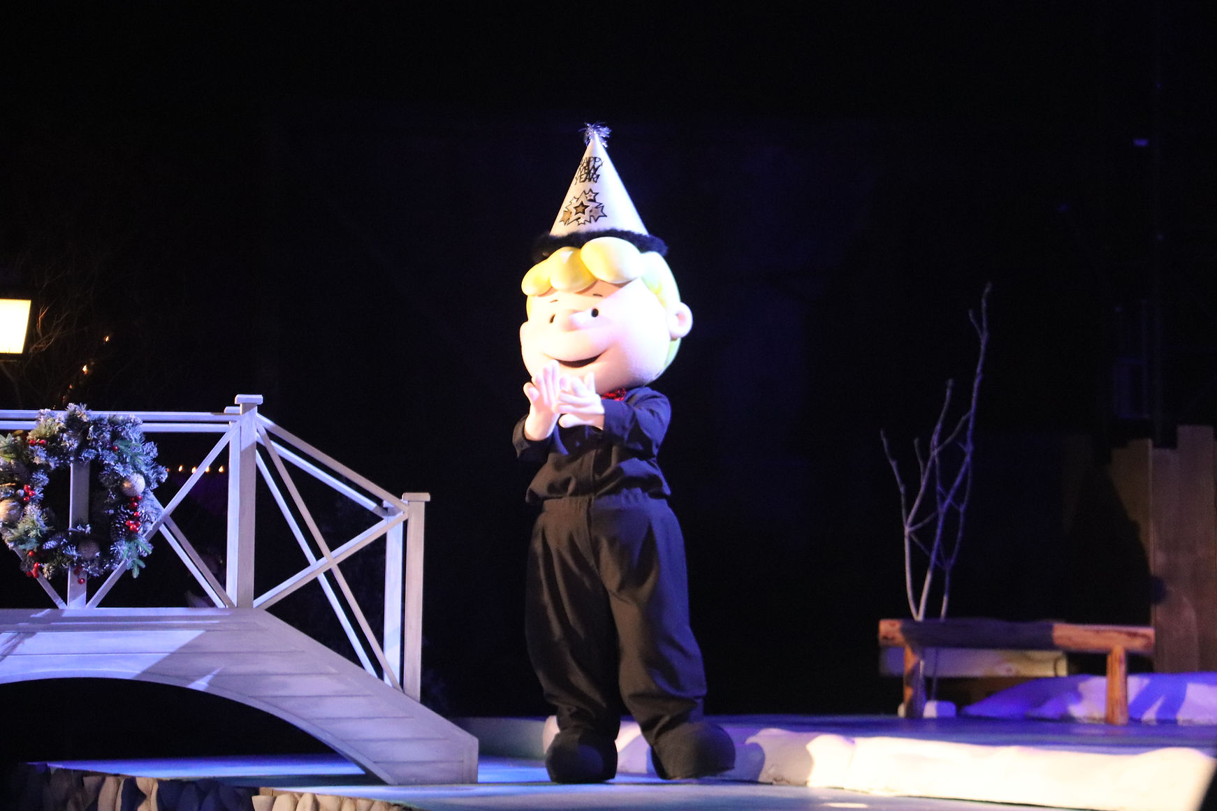 Schroeder | Costumed Characters Wiki | Fandom