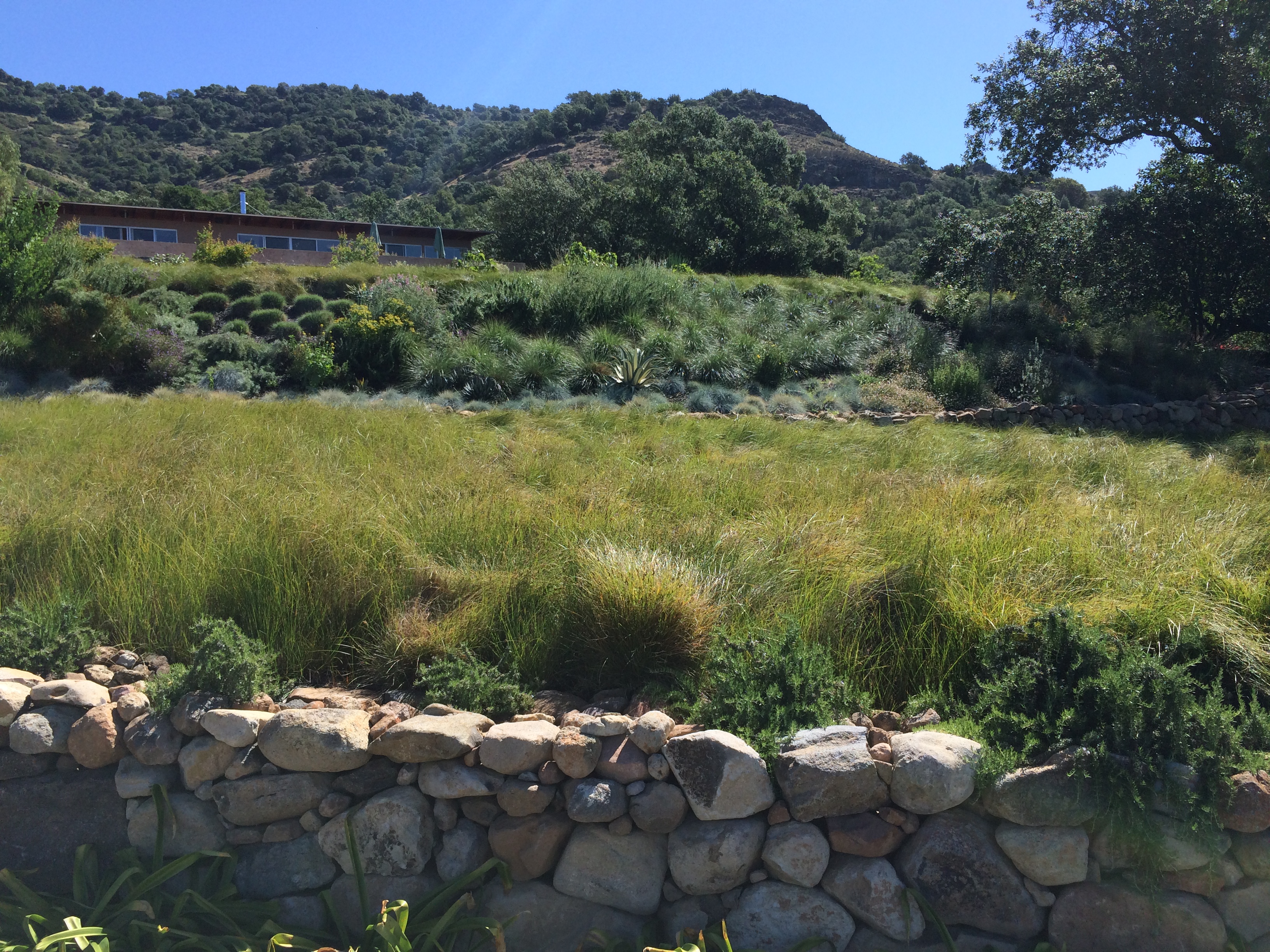 Napa Valley Landscaping