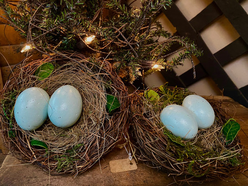#RBN Robin Eggs in Nest | Olde Crows Homestead