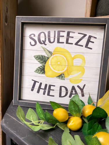 #8178 Squeeze the Day sign | Olde Crows Homestead