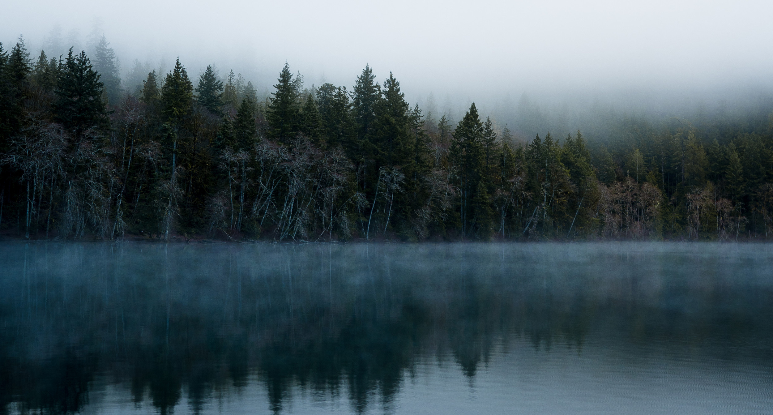 Home | Bianca Photography