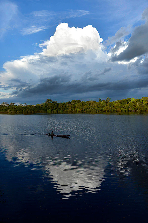 Um gigante chamado AMAZÔNIA