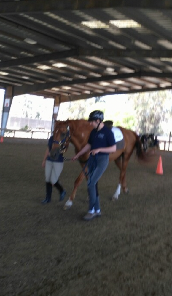 Horseback Riding Helps Autistic Kids