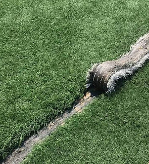 Services | Lollipops Constructi