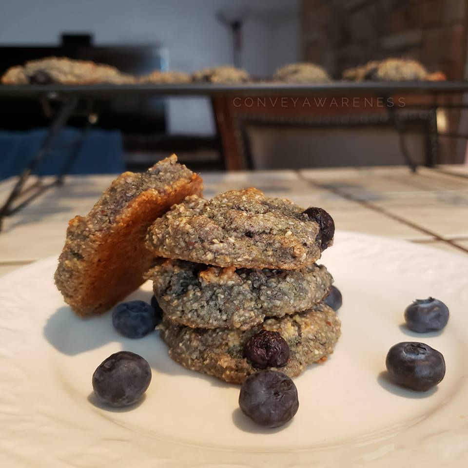 Mostly Plant-Based Protein Cookies
