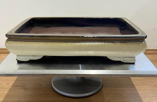 Glazed hand-made rectangular pot | Bonsai Plus