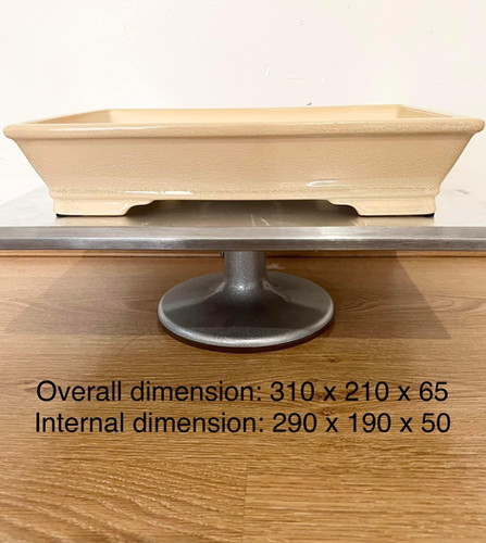 Glazed Shallow Rectangular Pot | Bonsai Plus