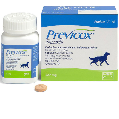 Previcox para nuestros animales | AnimalesSinHogar