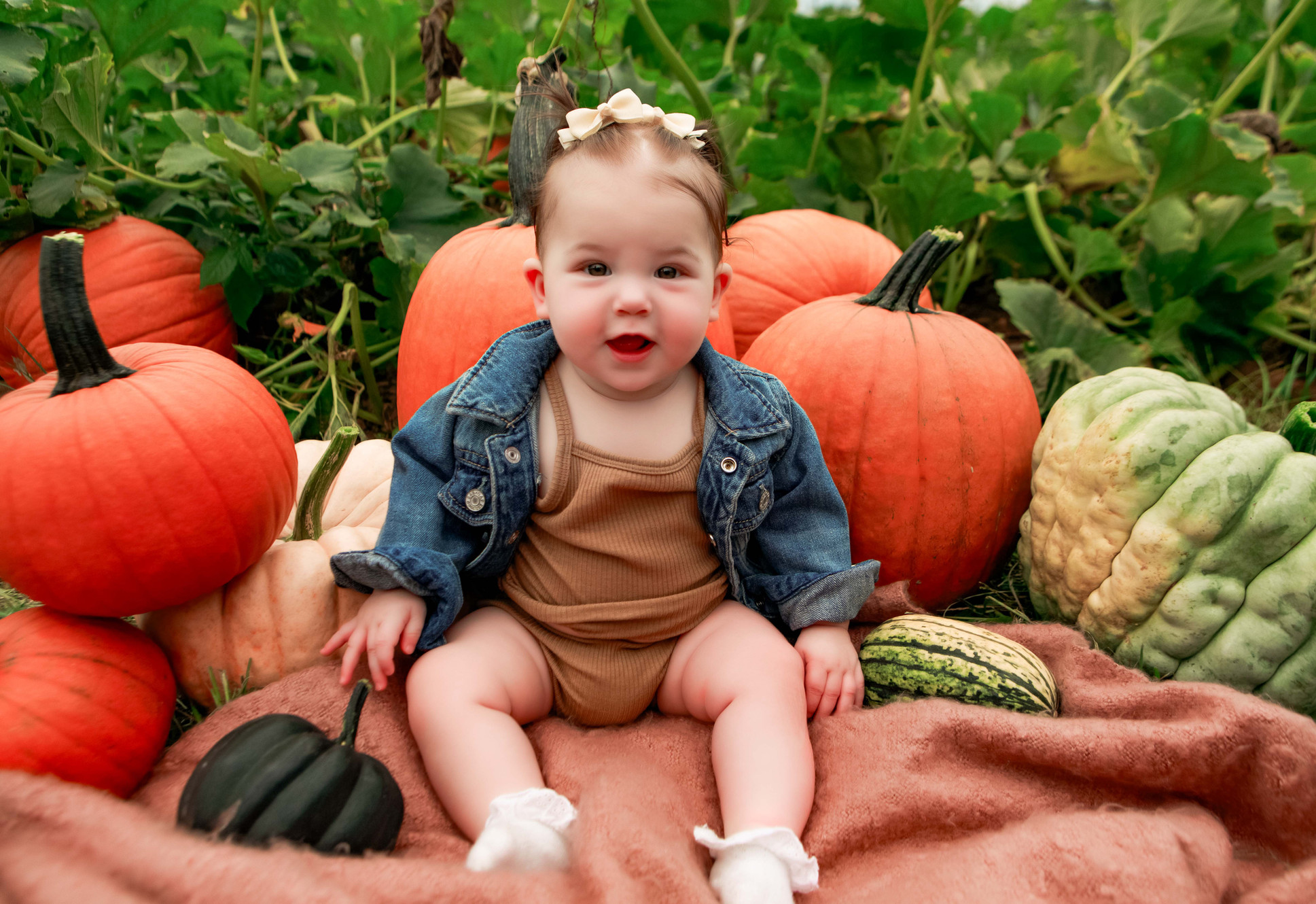 FALL DAYS | Riamede Farm | Chester, NJ