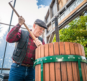 Media Coverage | Tapped Apple Cidery & Winery | Downtown Westerly