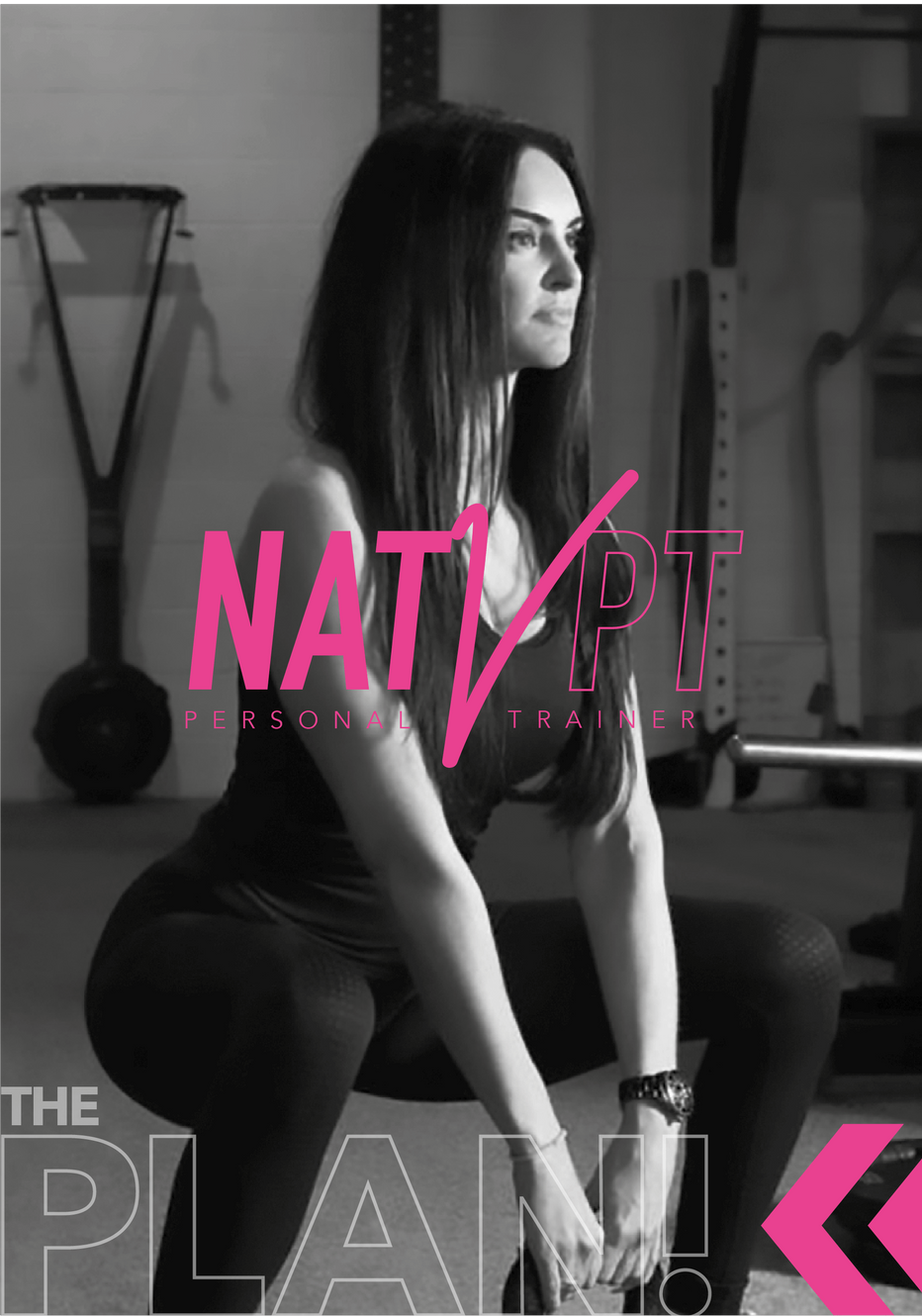 Home | Natty V Pt | The Plan