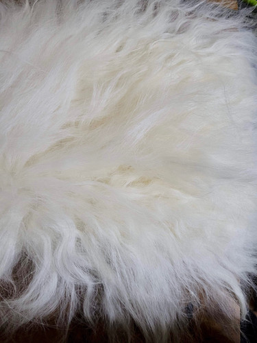 Practice fur pad | Creative Grooming UK