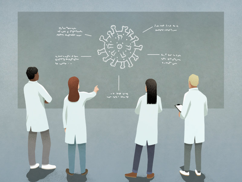 Where do new viruses like the coronavirus come from?