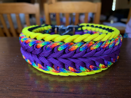Swirl Collar | Cords 4 Canines