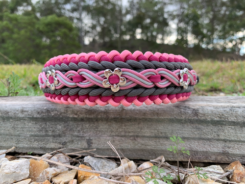 Allure Collar | Cords 4 Canines