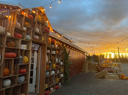 Yesteryear Farms | 26801 SW Stafford Rd. Wilsonville